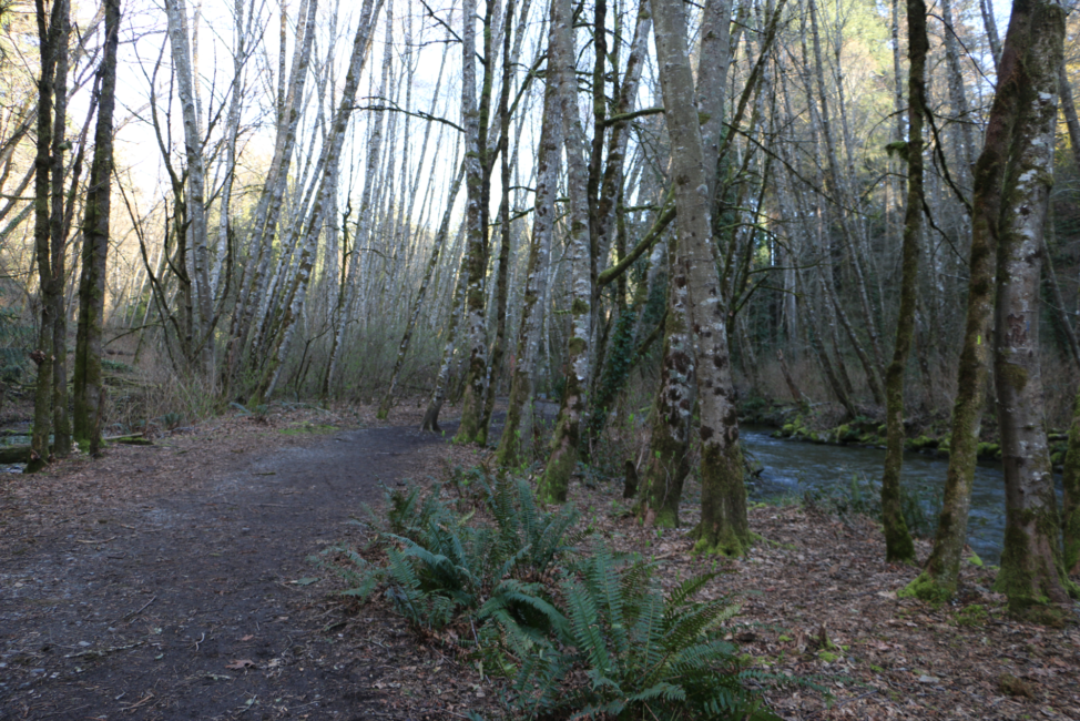 Chambers Creek Trail - City of Lakewood