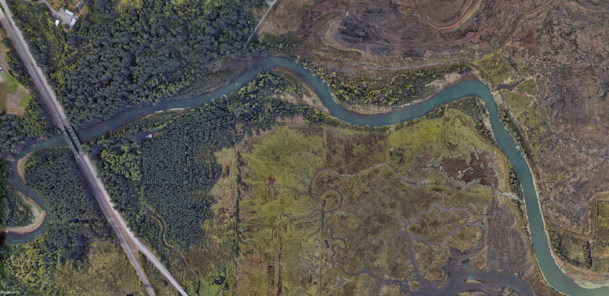 Nisqually Delta - City of Lakewood