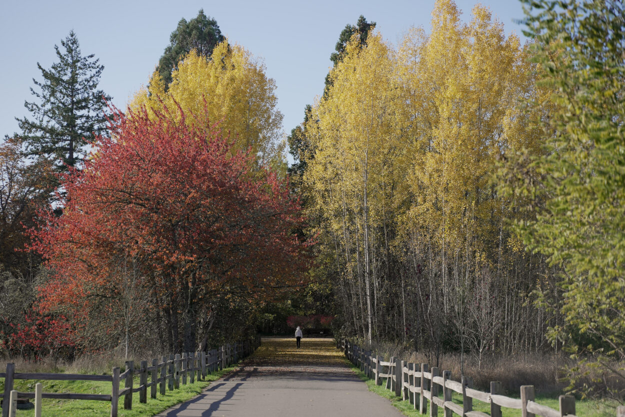 Fort Steilacoom Park - City of Lakewood