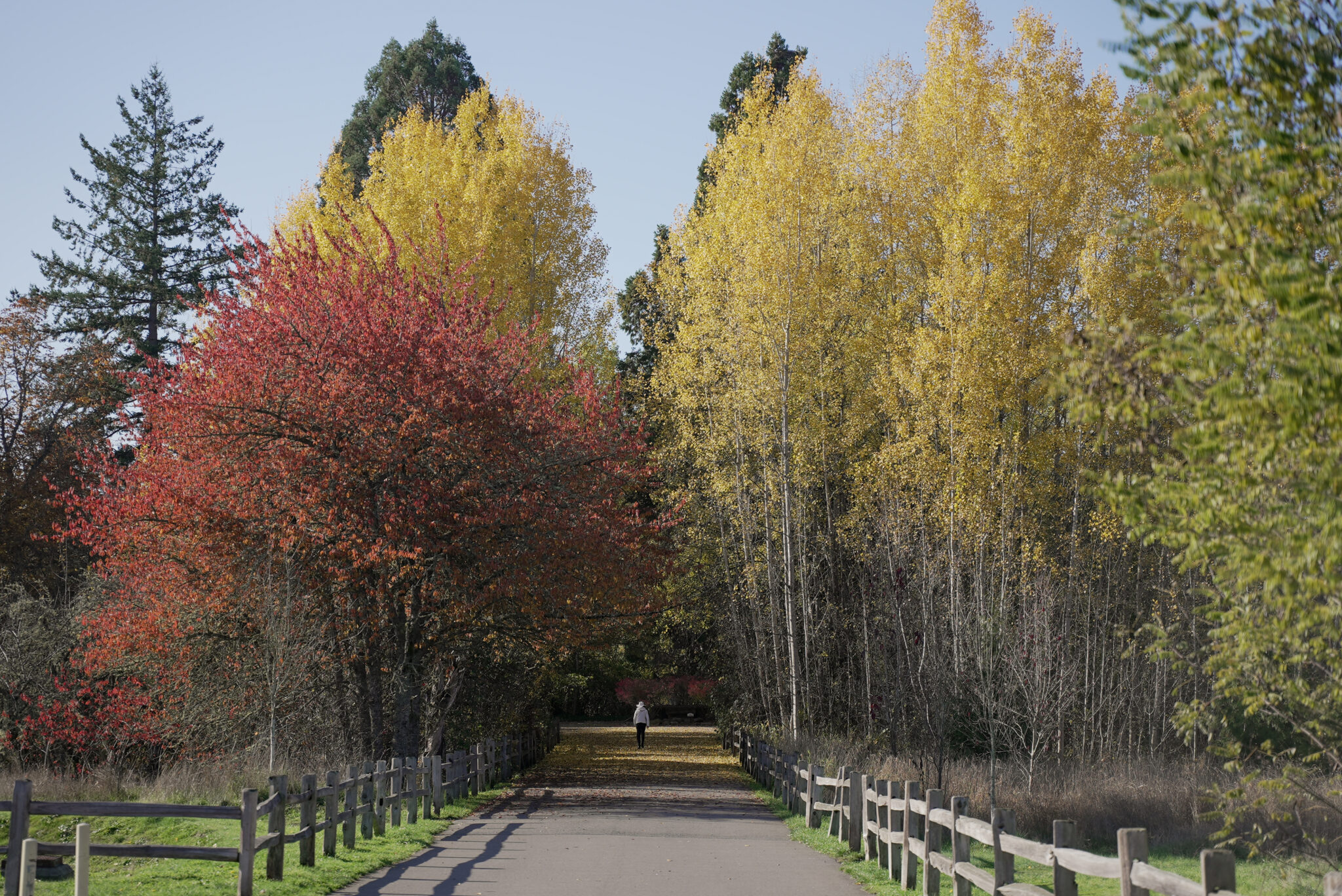 Fort Steilacoom Park - City of Lakewood